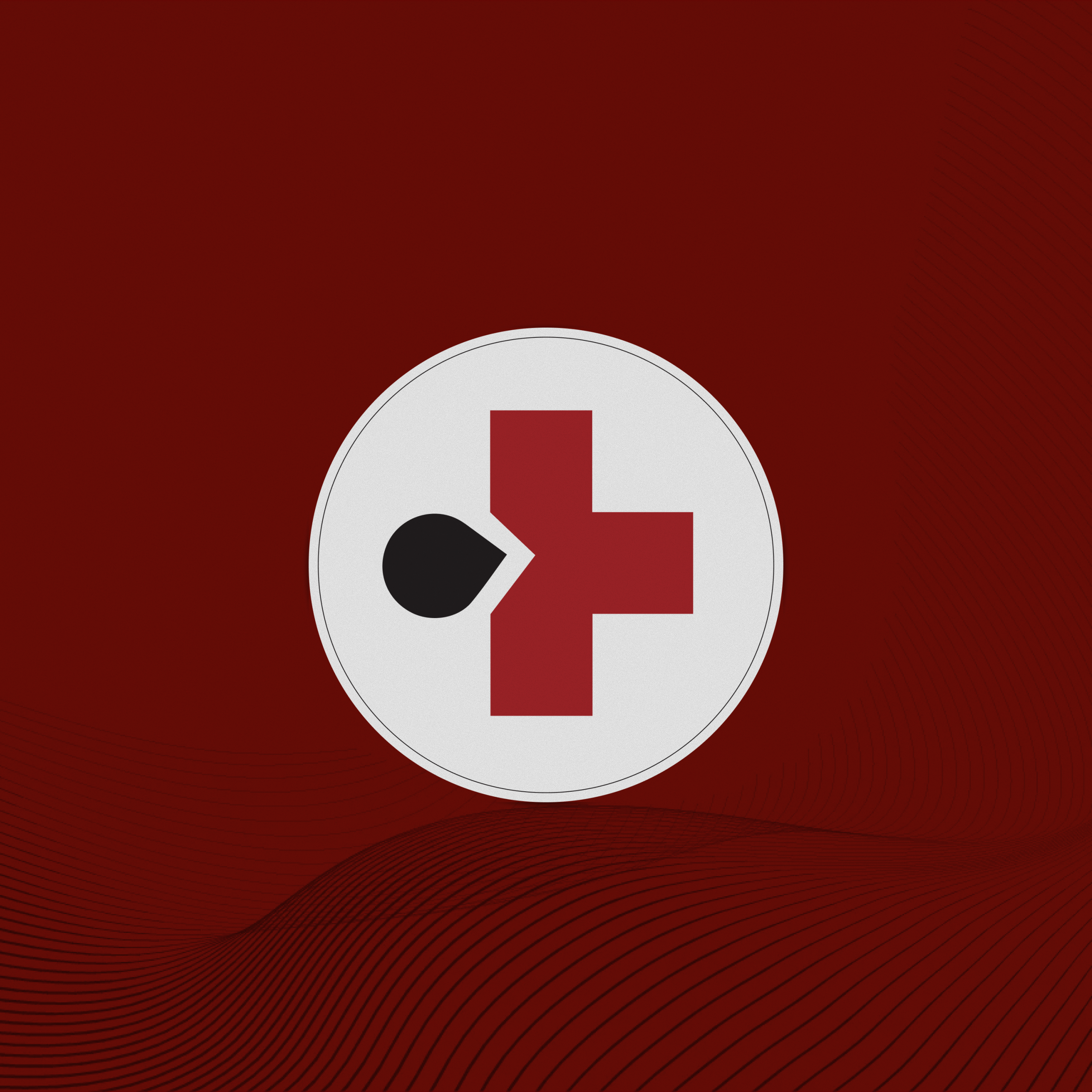 BHPN: Black Health Professionals Network